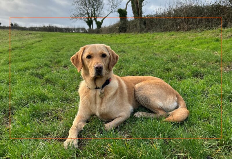 Announcing Mid-Year Promotions - Hartnell Taylor Cook